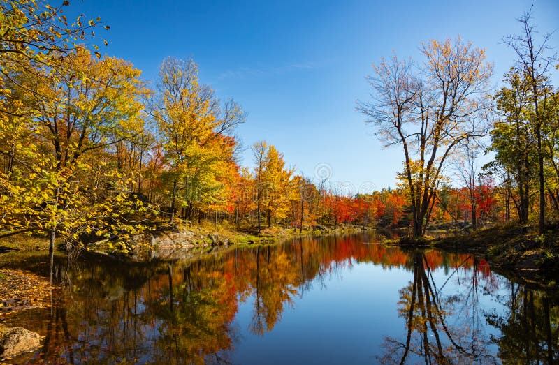 Bright Vibrant Autumn Fall Tree Leaf Colours Reflected in the Lake ...