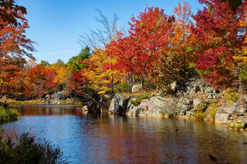 Bright Vibrant Autumn Fall Tree Leaf Colours Reflected in the Lake ...