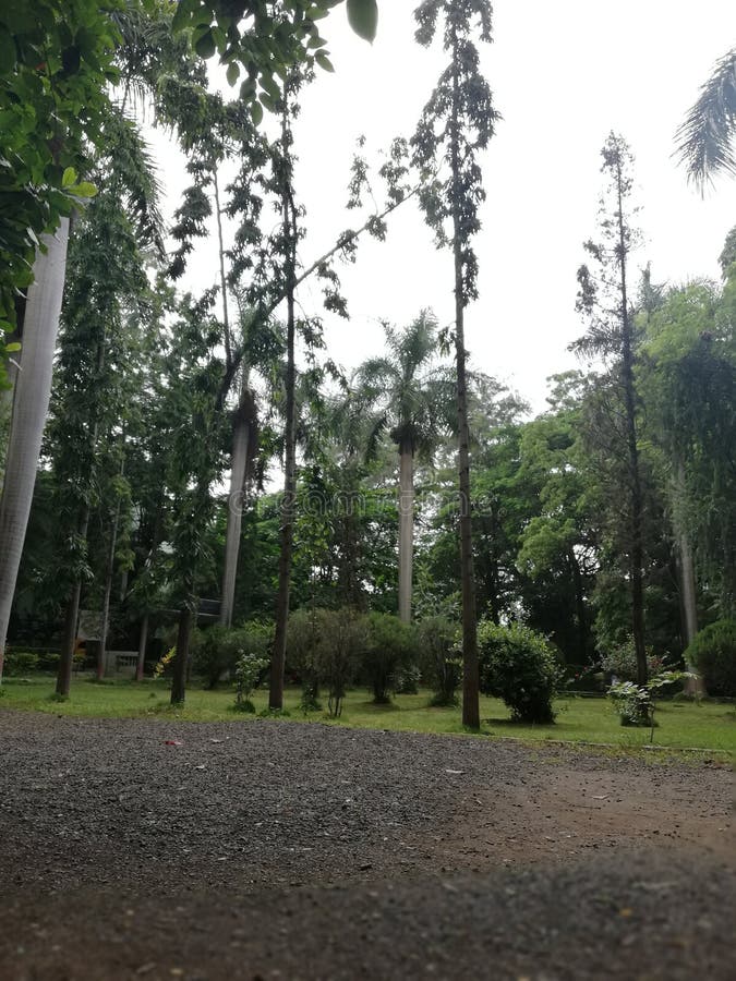 College scenes. stock image. Image of view, campus, college - 122590545