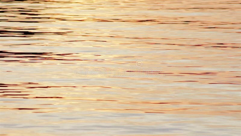 Bright Water Rippling on the Surface of a Northern Lake at Sunset Stock ...