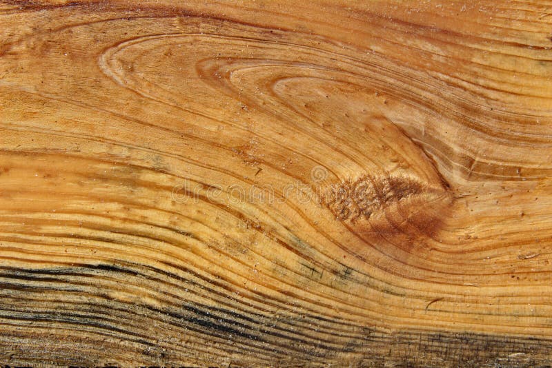 2,403 Damp Wood Texture Stock Photos - Free & Royalty-Free Stock Photos ...