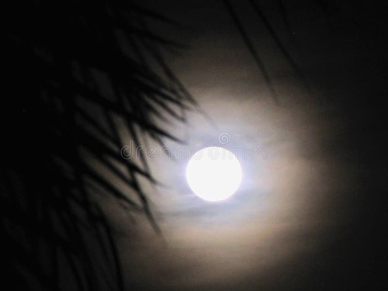 Full Moon Framed by Light and Shadows Stock Photo - Image of full ...