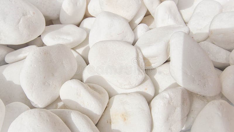 Bright White Pebbles Decorative Natural Stones Stock Photo - Image of ...