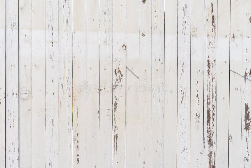 Bright Wood Texture Background Surface with Old Natural Pattern Stock ...