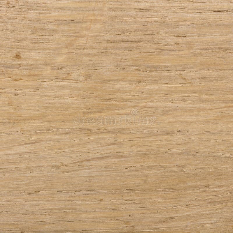 Bright wood texture stock photo. Image of surface, natural - 64096736