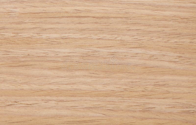 Bright wood texture stock photo. Image of grain, flooring - 64096946