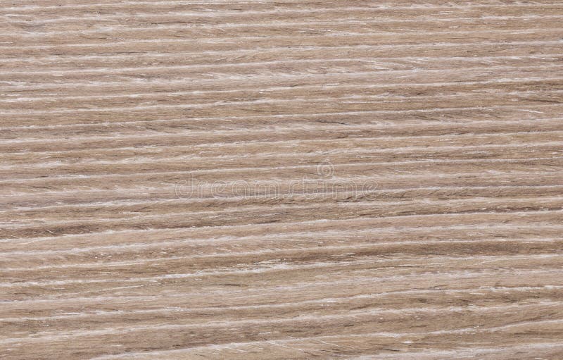 Bright wood texture stock photo. Image of design, bright - 64096958