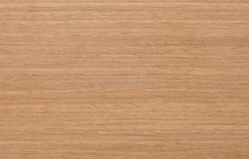 Bright wood texture stock photo. Image of surface, natural - 64096736