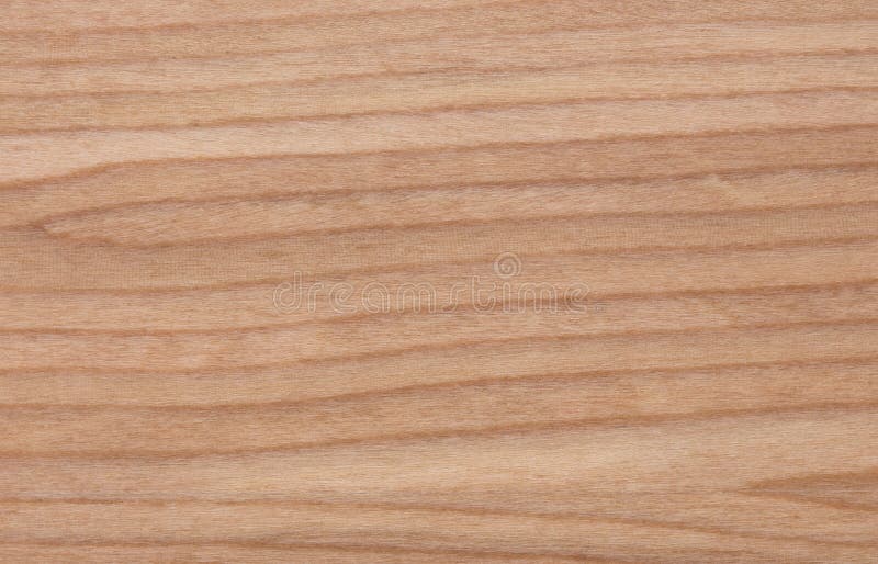 Bright wood texture stock photo. Image of design, bright - 64096958