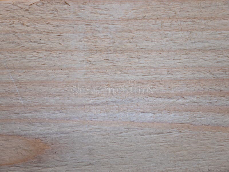 Bright Wood Texture. Texture Background Stock Photo - Image of life ...