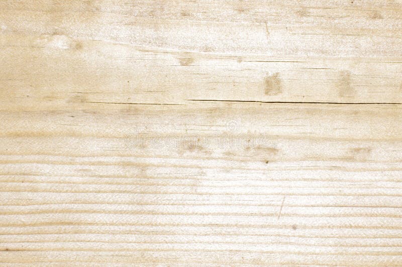 Bright wood texture stock photo. Image of botany, lumber - 39373868