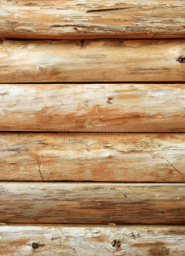 4+ Knotty log texture Free Stock Photos - StockFreeImages