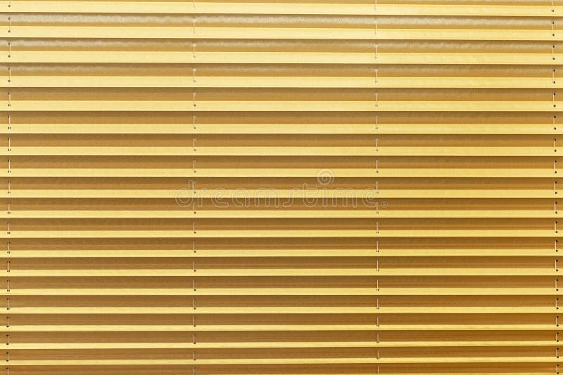 Bright Yellow Closed Horizontal Blinds. Close-up. Modern Trends in ...