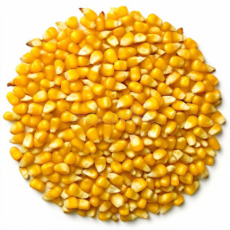 Corn Kernels Pattern Stock Illustrations – 1,613 Corn Kernels Pattern ...