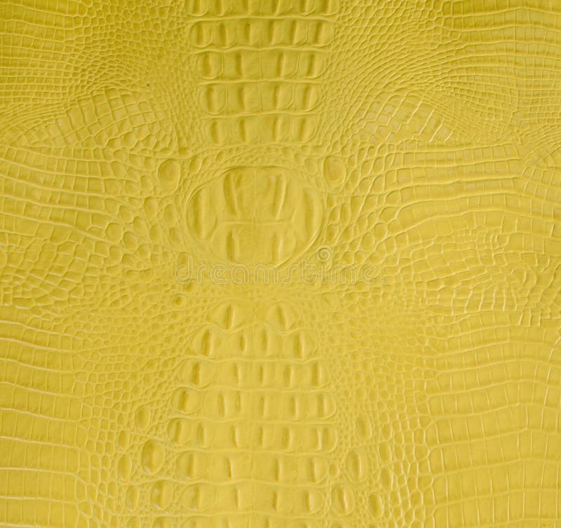 Bright Yellow Gator Belly Texture Stock Photo - Image of graphic, brown ...