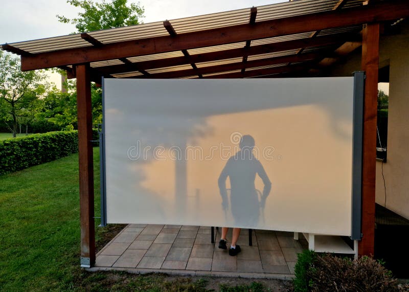 This Bright Yellow Melt Forms a Tall, Decaying Shrub with Strongly ...