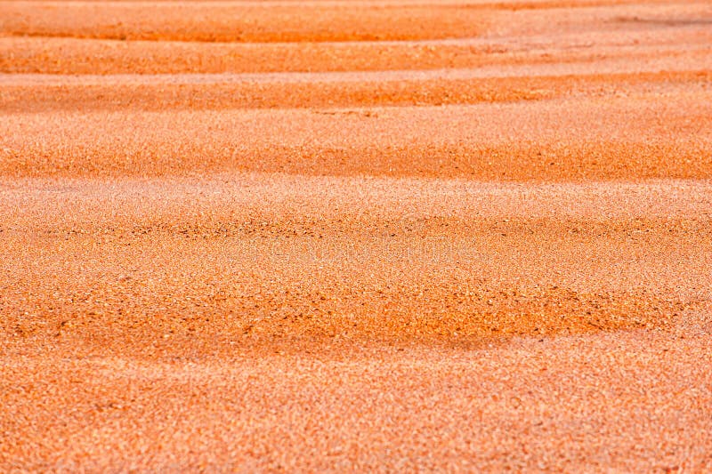 Bright Sand Made Of Metall Glitters With Selective Focus And Small ...