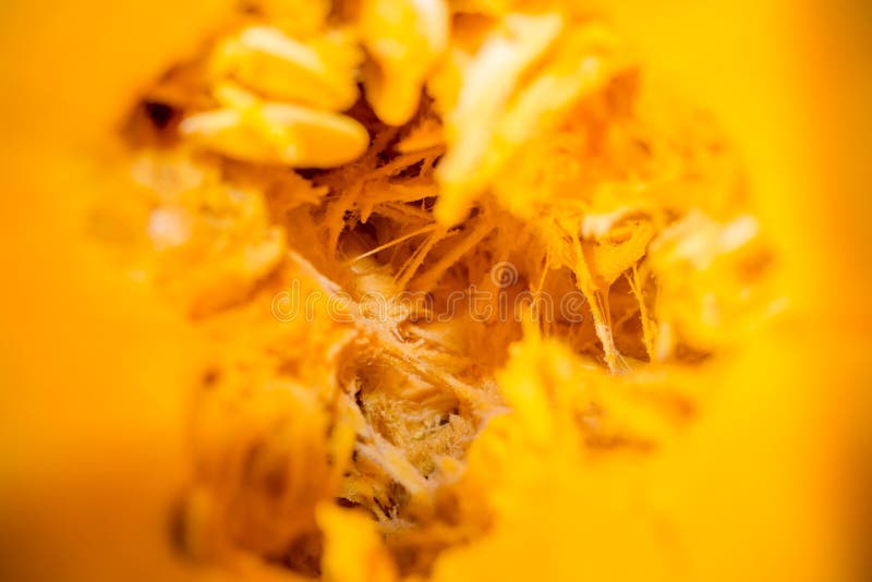 352 Pumpkin Inside Texture Stock Photos - Free & Royalty-Free Stock ...