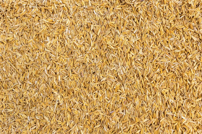 4,488 Rice Husk Stock Photos - Free & Royalty-Free Stock Photos from ...