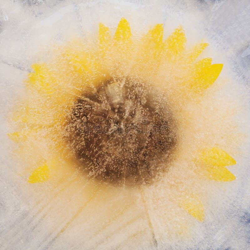 Block Ice Painting Stock Photos - Free & Royalty-Free Stock Photos from ...