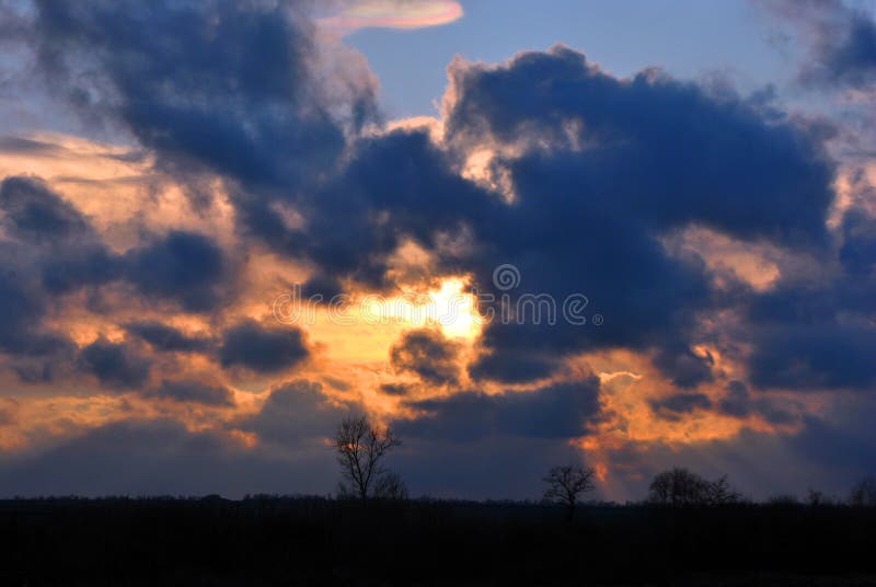 Bright Yellow Sunset, Dark Trees on Horizon Stock Photo - Image of rise ...