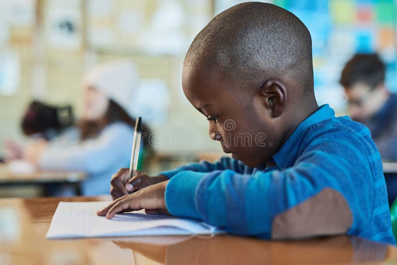 Bright Young Minds. Shot of an Elementary School Boy Working in Class ...