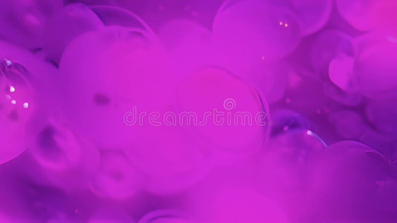 Brightfield Microscopy Image of Apoptotic Cells within an Inflammatory ...