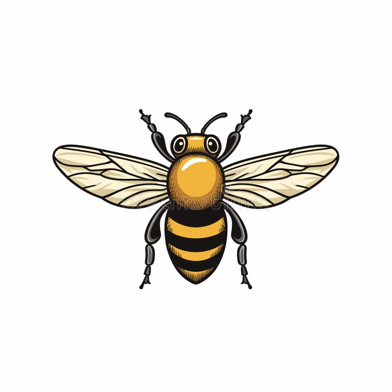 Bright Yellow Bee with Detailed Wings in Flight Stock Vector ...