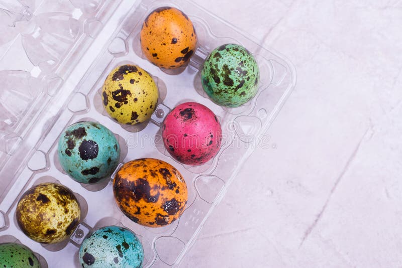 Brightly Colored Eggs in Box Stock Photo - Image of easter, blossom ...