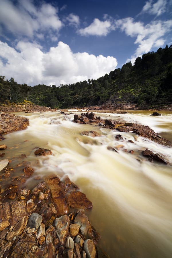 Brightly colored river stock image. Image of forest, trees - 20794549