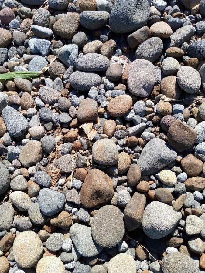 River rock collection stock photo. Image of river, collection - 255321066