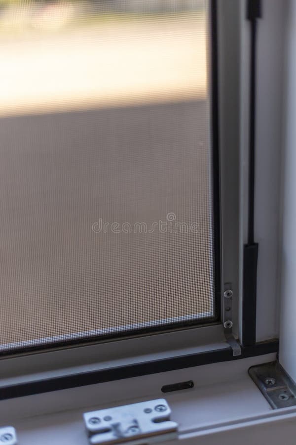 Brightly Lit Indoor Space Features a Close-up of a Meticulously Crafted ...