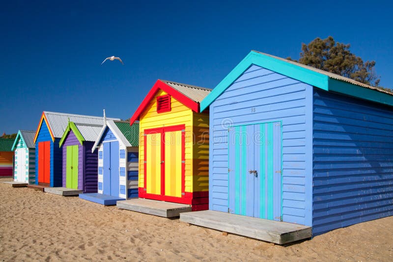 Brighton Beach Bathing Boxes Stock Photo - Image of bathing, bird: 32043710