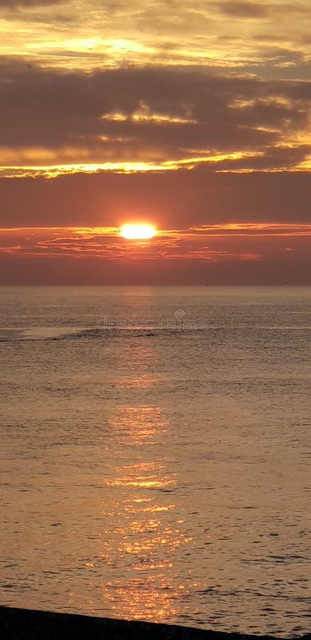 Brighton Birds Sunset Sea Orange Stock Photo - Image of brighton ...