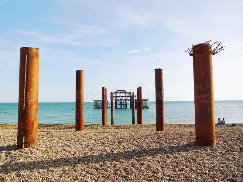 Front View Skeleton Bird Stock Photos - Free & Royalty-Free Stock ...