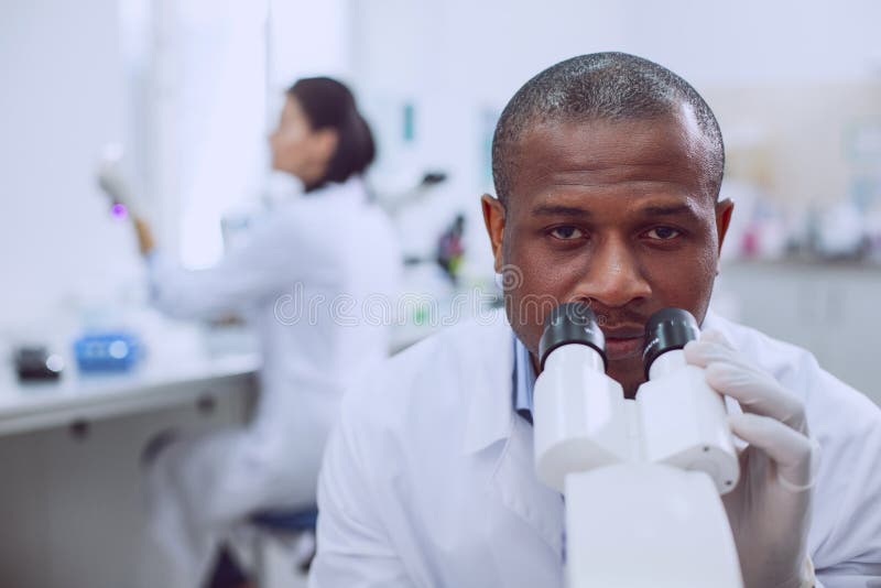 Brilliant Bioengineer Working in the Lab Stock Image - Image of ...
