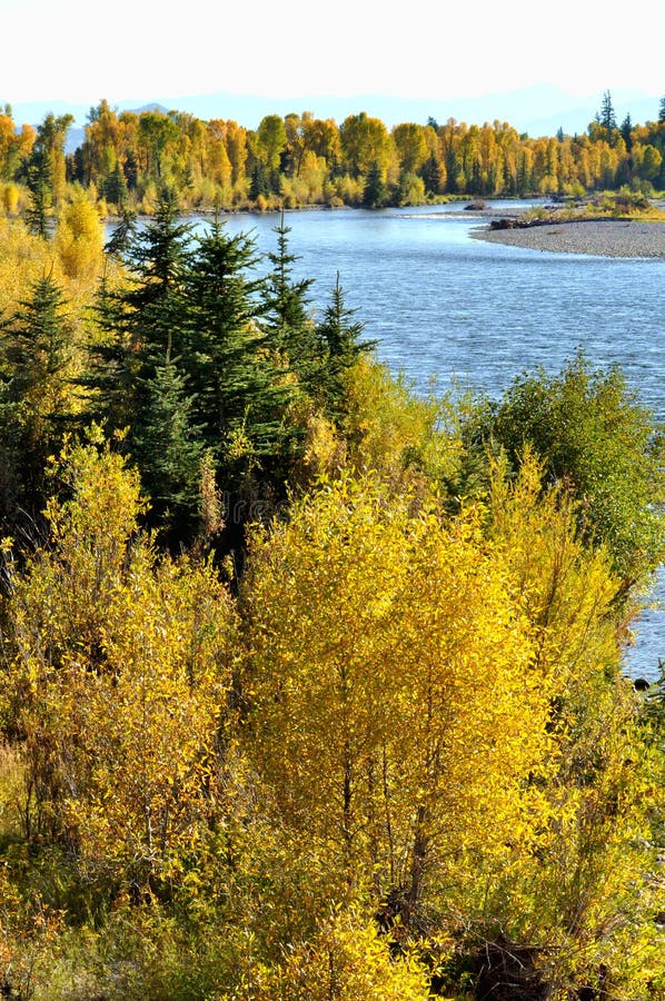 A Fall Scene with Scarecrows Stock Image - Image of stalks, displays ...