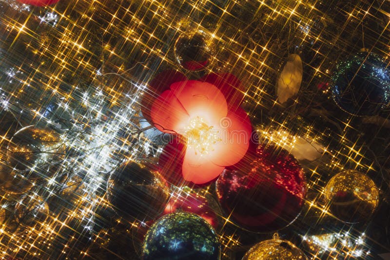 Brilliant Christmas Tree Crop Photo Stock Photo - Image of copy ...