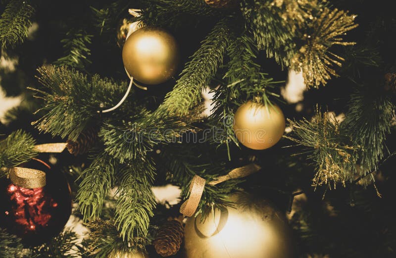 Brilliant Christmas Tree Crop Photo Stock Image - Image of yellow, gold ...
