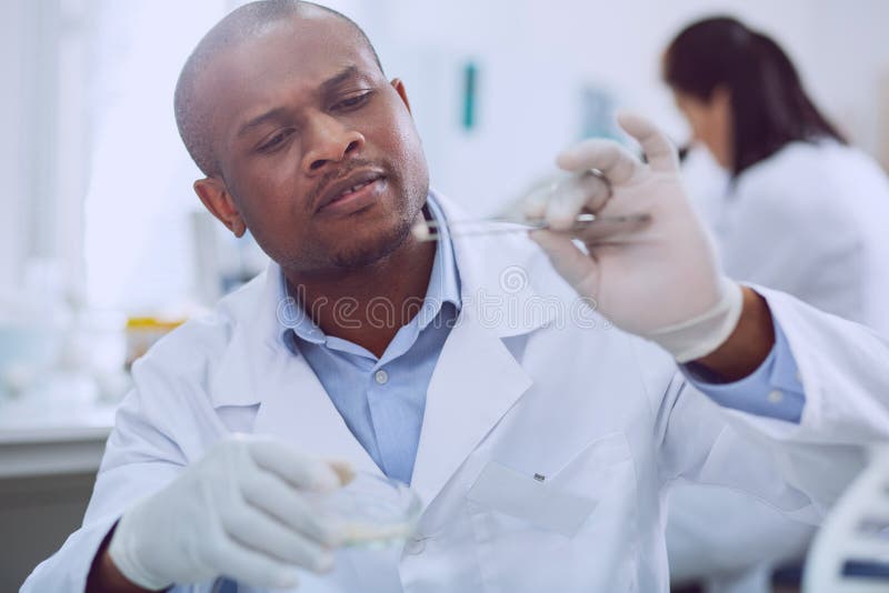Brilliant Skilled Bioengineer Doing a Test with Seeds Stock Image ...