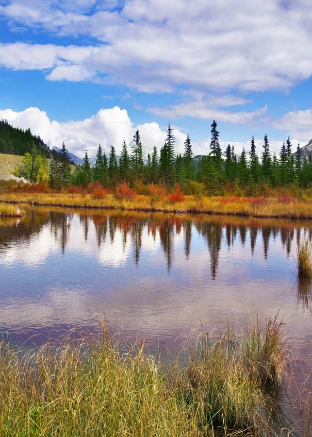 Brilliant small lake stock image. Image of picturesque - 9397149