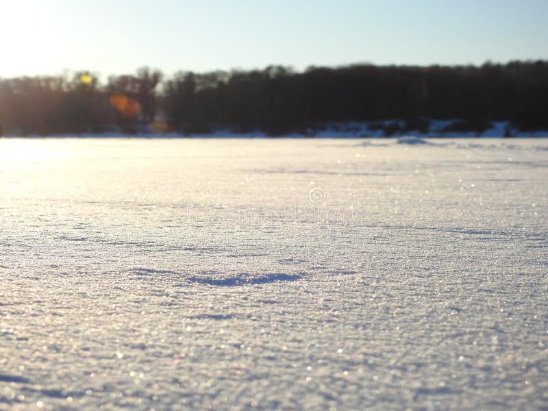 Brilliant snow stock photo. Image of lake, forest, pine - 90522634