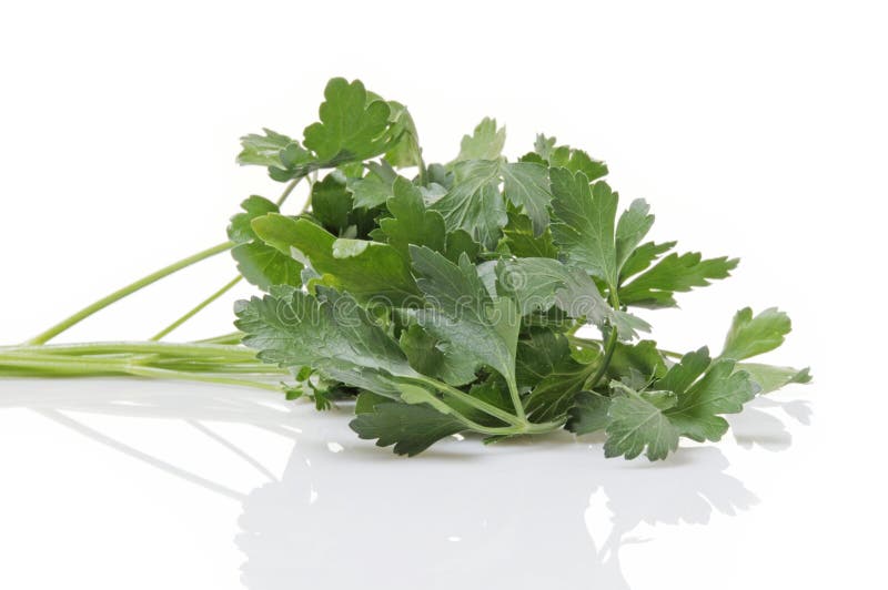 Branche de persil italien photo stock. Image of fond, organique - 9007108
