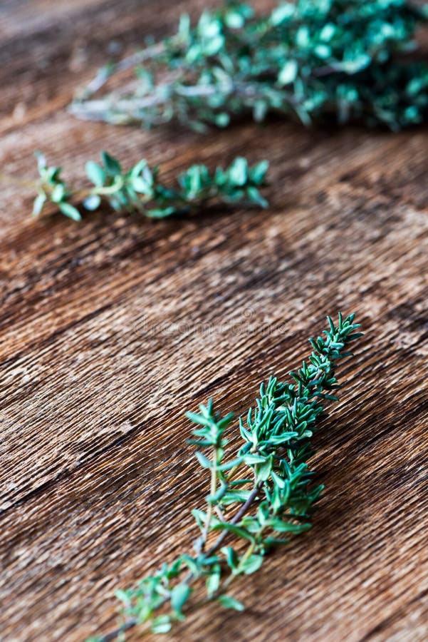 Brin vert de thym photo stock. Image du centrale, diff - 67967690