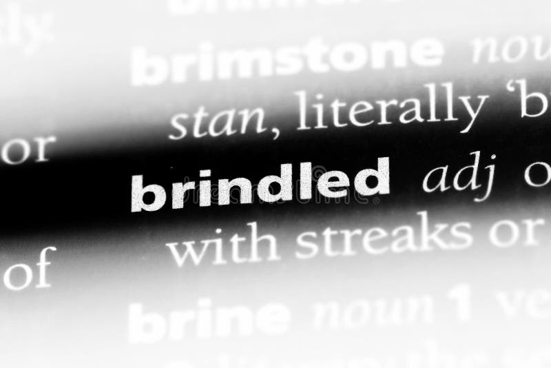 Brindled stock photo. Image of writing, macro, dictionary - 114407788