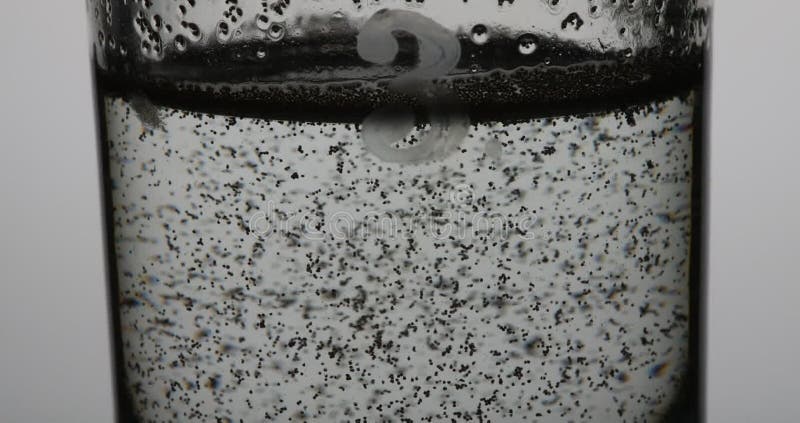 Brine shrimp eggs float stock footage. Video of eggs - 273816154