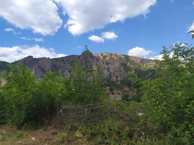 Bring the nature home stock photo. Image of home, terrain - 195928904