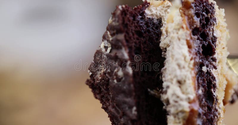 Bring and Shows a Piece of Broken Cake Lying on a Fork Stock Video ...