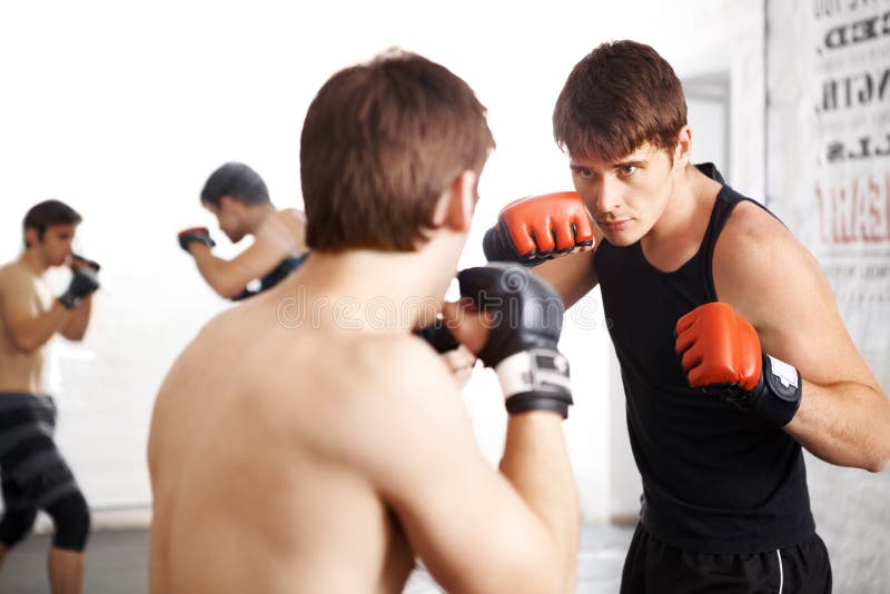 Bring it on. Two Martial Artists Sparring in the Ring. Stock Photo ...