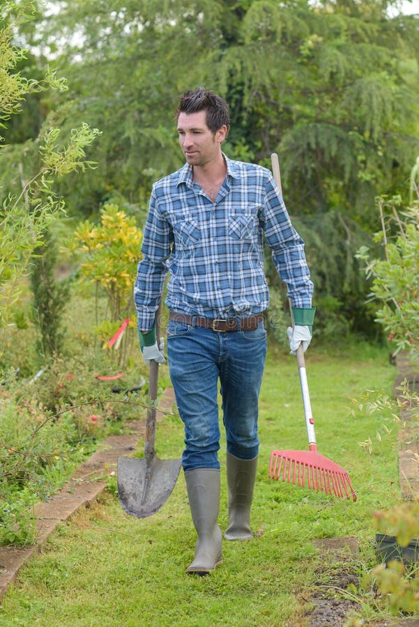 Bringing spade and rake stock photo. Image of farmer - 128017854